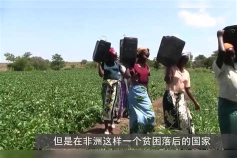 非洲人真会赚钱发明这种不用电的冰箱15元一台被穷人抢空 元一台 用电 冰箱