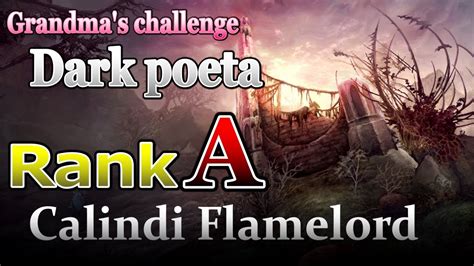アイオンクラシックおばぁちゃん シニアゲーマー の暗黒のポエタGrandma s Dark Poeta Rank A Boss