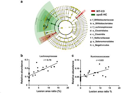 Linear Regression Plots And Lda Effect Size Lefse Analysis A