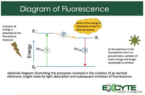 Diagram Campbell Diagram Explanation Mydiagram Online
