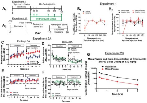 Xylazine Suppresses Fentanyl Consumption During Self Administration And