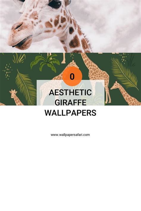 🔥 0 Aesthetic Giraffe Wallpapers Wallpapersafari