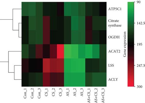 Identification Of Hub Proteins A The Ppi Network Of Common Deps B
