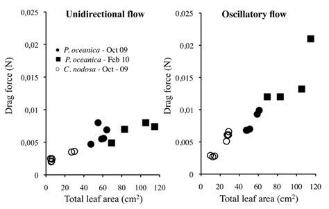 5 drag forces acting on individual seedlings of different surface area