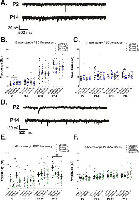 Prenatal Ethanol Exposure Results In Cell Type Age And Sex Dependent