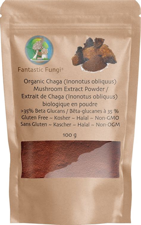 Organic Chaga Inonotus Obliquus Mushroom Extract Powder Extrait De