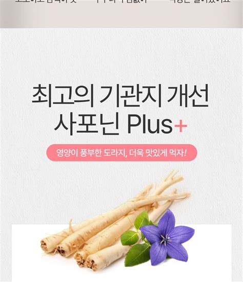 한국 조은나래 한입콩고물 도라지정과 60g 10개입 소다기프트