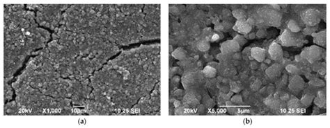 Biosensors Free Full Text Synthesis And Characterization Of Tio2