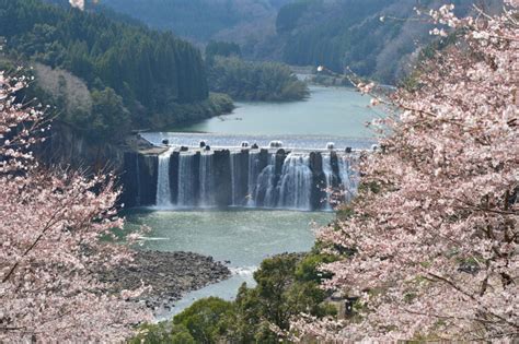沈堕の滝 スポット オオイタおそと時間