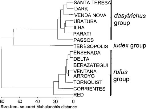 dendrogram of unweighted pair group method of averages of