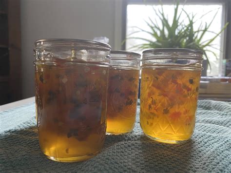 Hot Pepper Jelly Recipe Hummingbird Acres