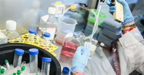 سیگار، مواد مخدر و رژیم غذایی نامناسب؛ اصلی‌ترین دلیل شیوع سرطان