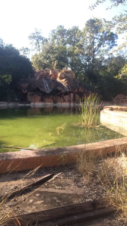 Today I Was Able To View Disneys Abandoned River Tumbex