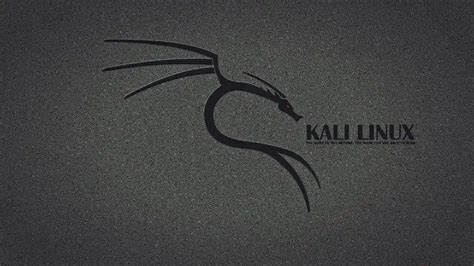 2k Linux壁纸下载 Kali系统灰色背景图片「哲风壁纸」