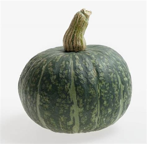 Quadrisem By Galassi Sementi Srl Seeds Sementi Semillas Italy