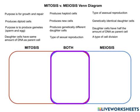 Mitosis Vs Meiosis Venn Diagram Interactive Worksheet Live