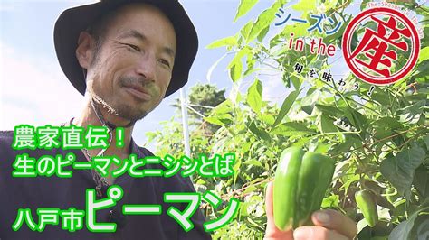 シーズンinthe産八戸市ピーマン農家直伝生ピーマンとニシンとばの和え物㊿ YouTube