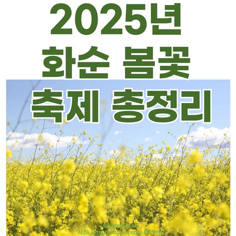 [2025년 최신] 화순 봄꽃 축제 완벽 가이드 일정 장소 프로그램 총정리 케어톡톡