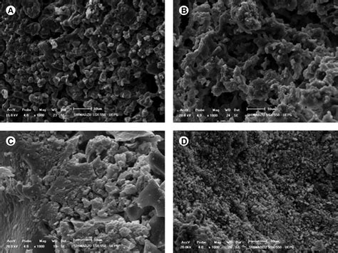 Dentifrices Containing Desensitizing Agents Sem Micrographs Of Download Scientific Diagram