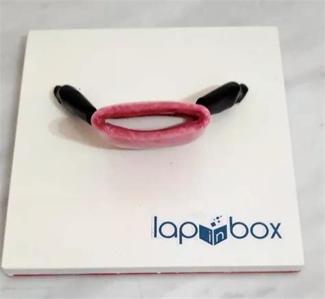 Simulador De Laparoscopia Plegable Pelvi Trainer En Venta En Escobar