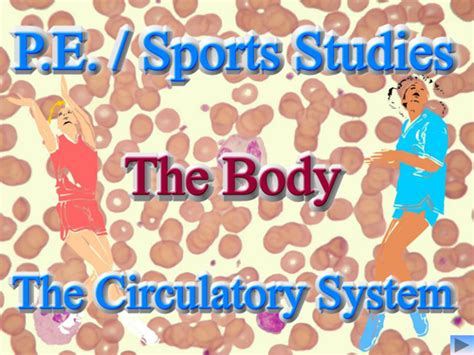 Circulatory System Gcse Aqa Teaching Resources