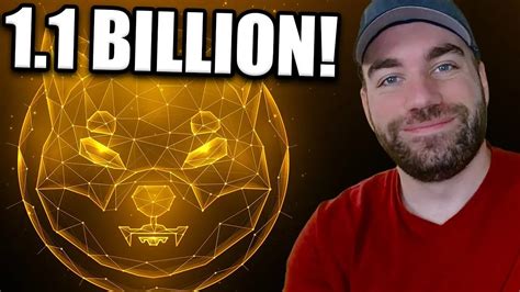 Shiba Inu 11 Billion Gone 🔥