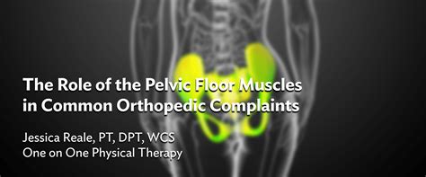 The Role Of The Pelvic Floor Muscles In Common Orthopedic Complaints One On One Physical Therapy