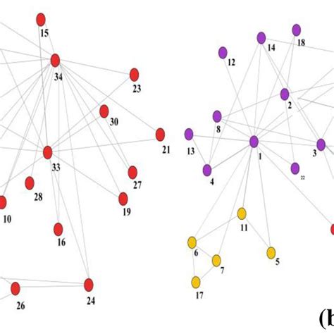 The Results On The Zacharys Karate Club Network A The True