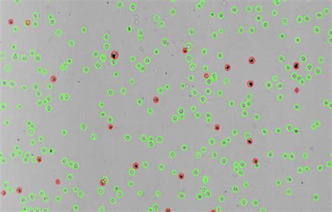 Bioprocess Monitoring With Luna Fx7™ Automated Cell Counter