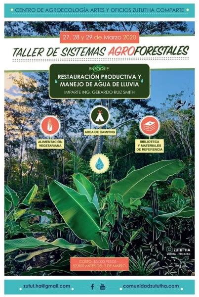 Curso De Sistemas Agroforestales Y Restauración Productiva