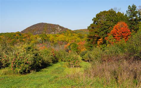 25 Best Apple Picking In Hudson Valley Spots To Visit Traveling Found
