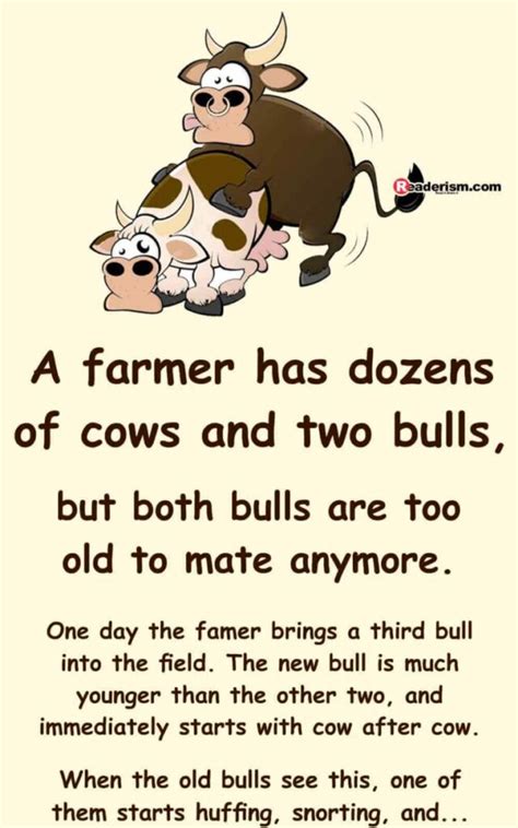 Dozens Of Cow Mating With A Young Bull
