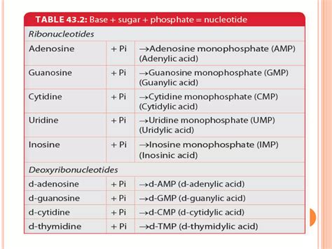 Dna Strcture And Function Pptx