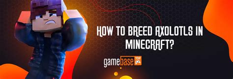 Ultimate Guide How To Breed Axolotls In Minecraft