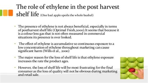 The Role Of Ethylene In Post Harvest Biology