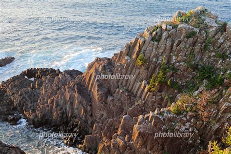 Photolibrary
