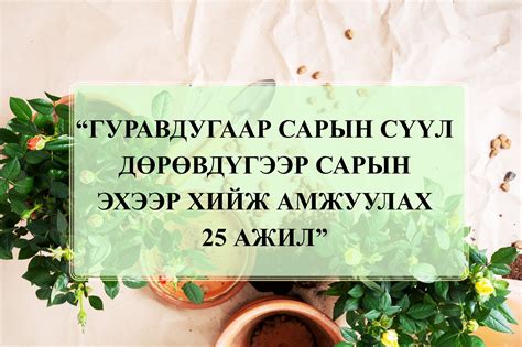 Экстра Ургамал төв Экстра Ургамал Төв