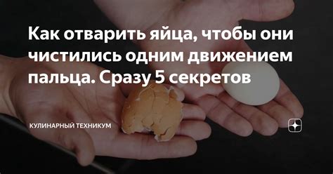 Как отварить яйца чтобы они чистились одним движением пальца Сразу 5 секретов КУЛИНАРНЫЙ