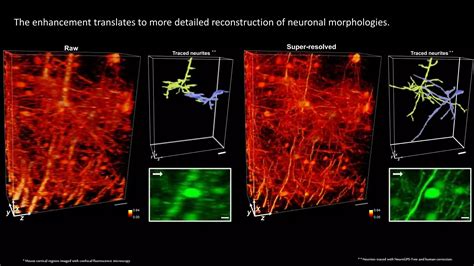 Deep Learning Enables Reference Free Isotropic Super Resolution For