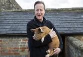 David Cameron On Peppa Pig PigGate Hameron Know Your Meme
