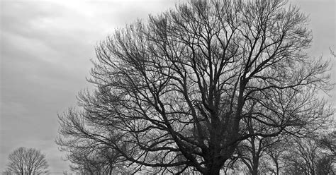 Je Suis Andrea Photography Desaturated Vs Saturated Images