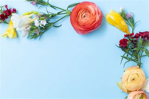 파란색 배경에 장식 디자인을위한 꽃 플랫이 놓여 있습니다 최소한의 낭만적 인 힙스터 개념 야생화가있는 여름 모형 배경 개념에
