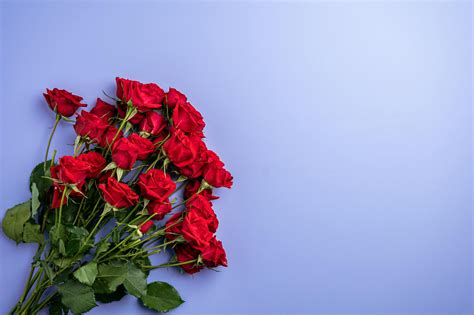 Copy Space 구성 꽃 꽃무늬 꽃잎 낭만적인 녹색 다정한 다채로운 디자인 로사 머리 위로 밝은 배열