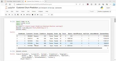 Completed A Customer Churn Prediction Project With Codsoft Khushi