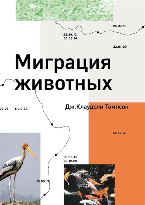 Calaméo Миграция животных