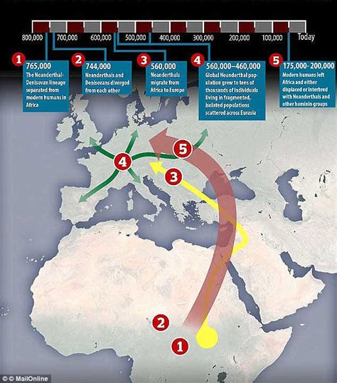 The Fossil That Could Rewrite The History Of Mankind Daily Mail Online