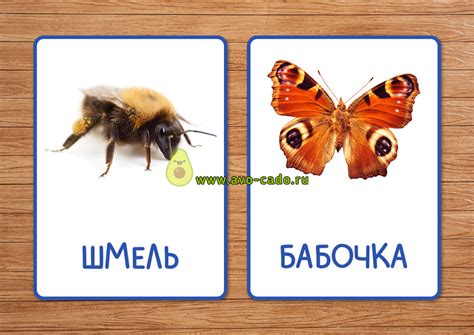 Карточки насекомые для детей скачать и распечатать бесплатно
