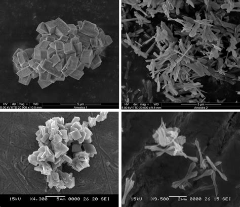 SEM Images Of A Sample C B Sample E C Sample F D Sample H