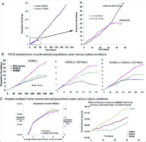 Human Mdsc Expansion A Hmdsc Have Slower Proliferation Rates As